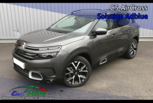 Citron C5 Aircross Probleme